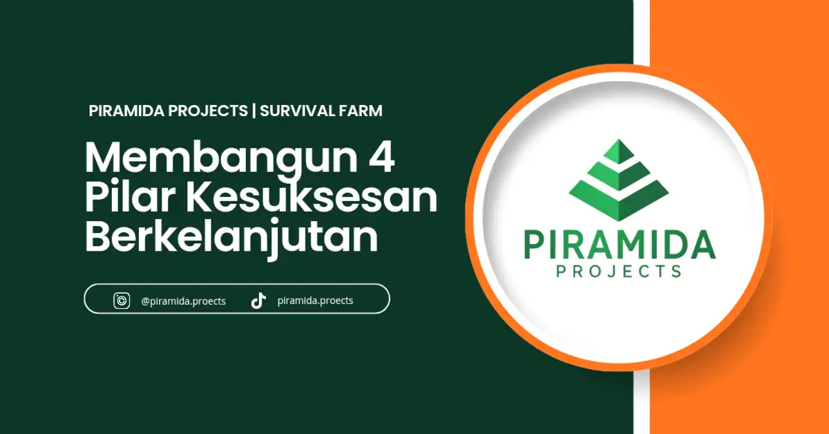 LYNK | PIRAMIDA PROJECTS