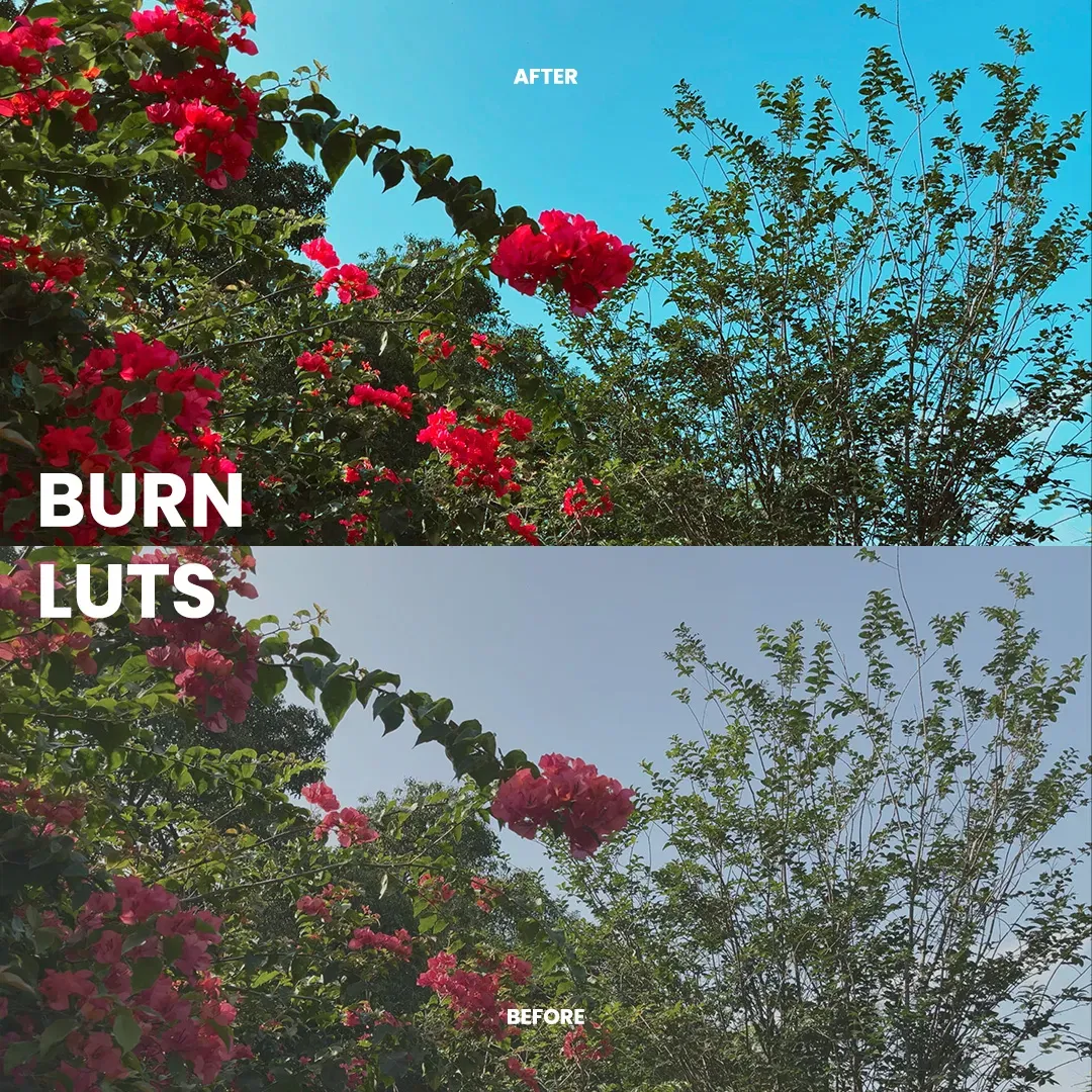 LYNK | irsyammaulana