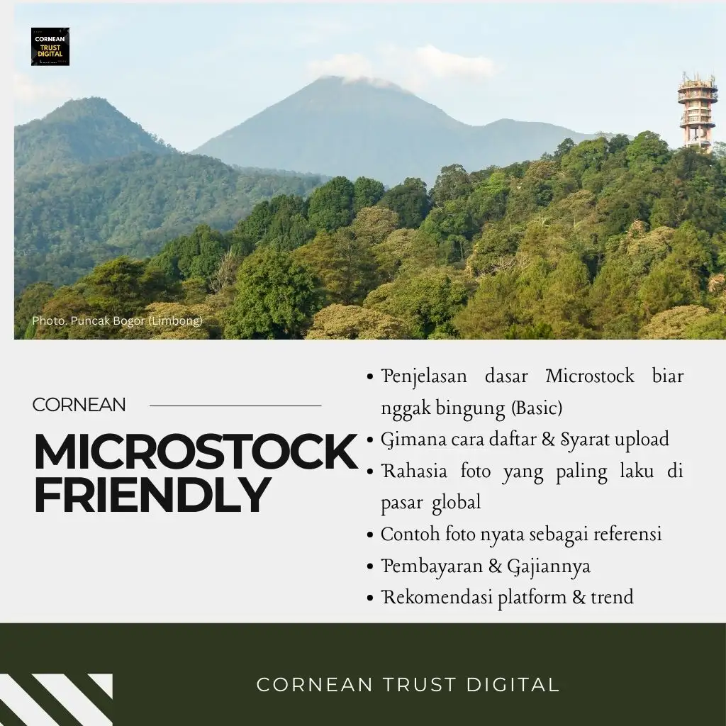 LYNK | cornean.trustdigital