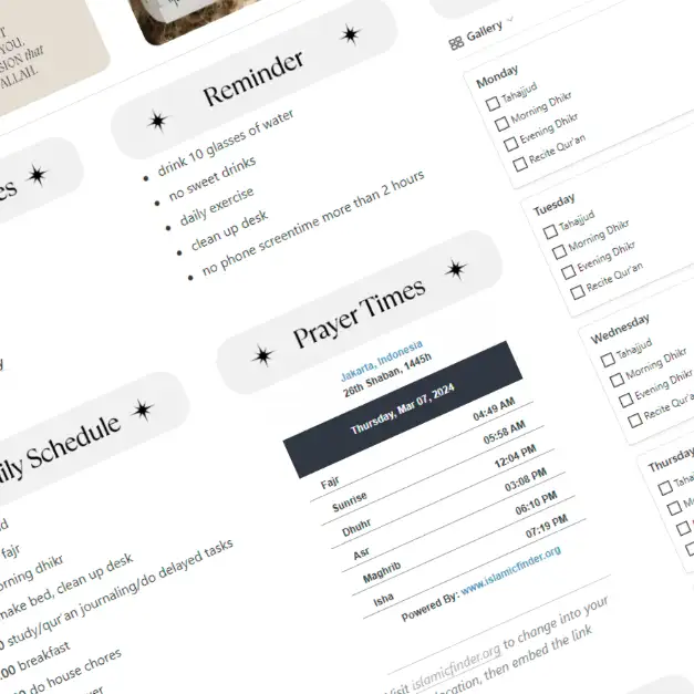 LYNK | sunkistorange