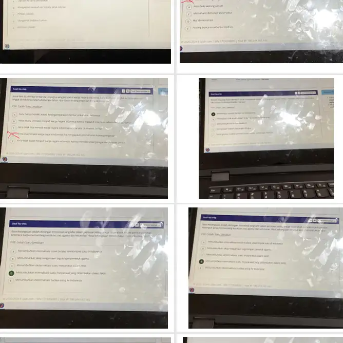 LYNK | sunkistorange