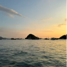 | mellow_sunset81
